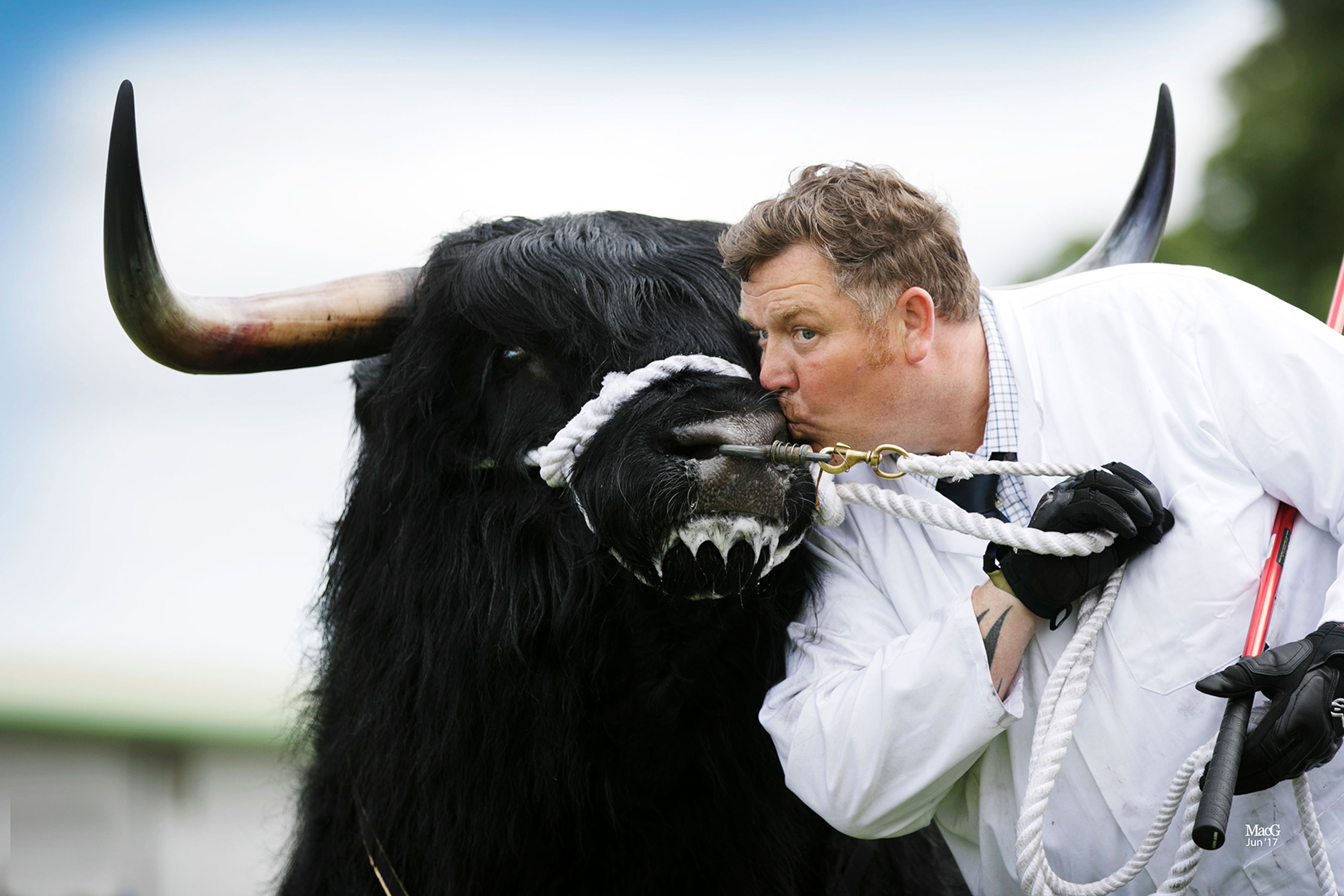 RHASS launches fundraising campaign to 'save' Royal Highland Show ...