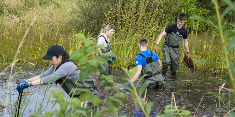 RSPB NI launches 5-point ‘Green Recovery Plan’ for Covid-19 - Agriland ...