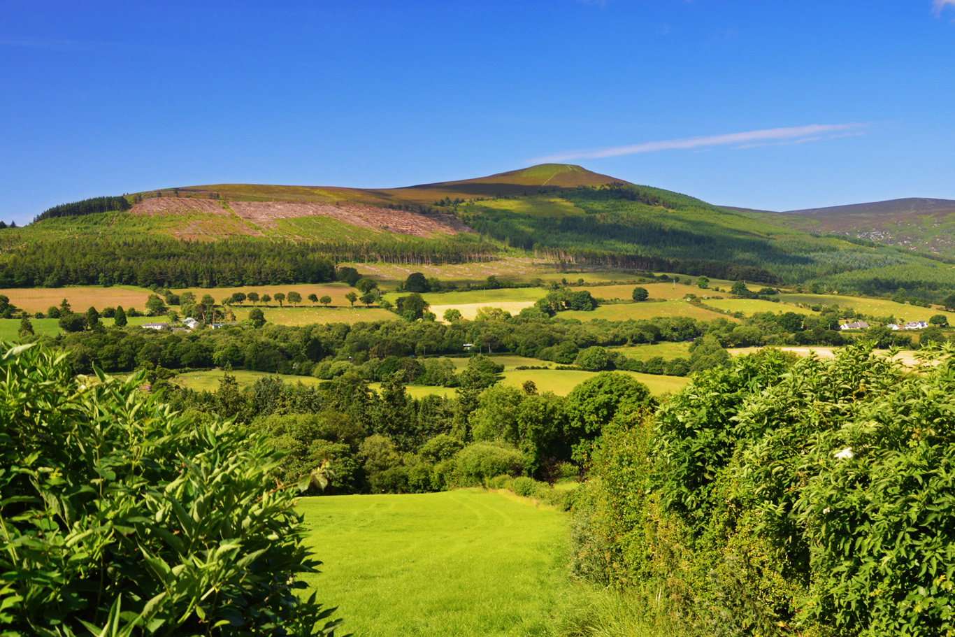 ‘Ambitious strategy’ needed to achieve net zero carbon future in ...