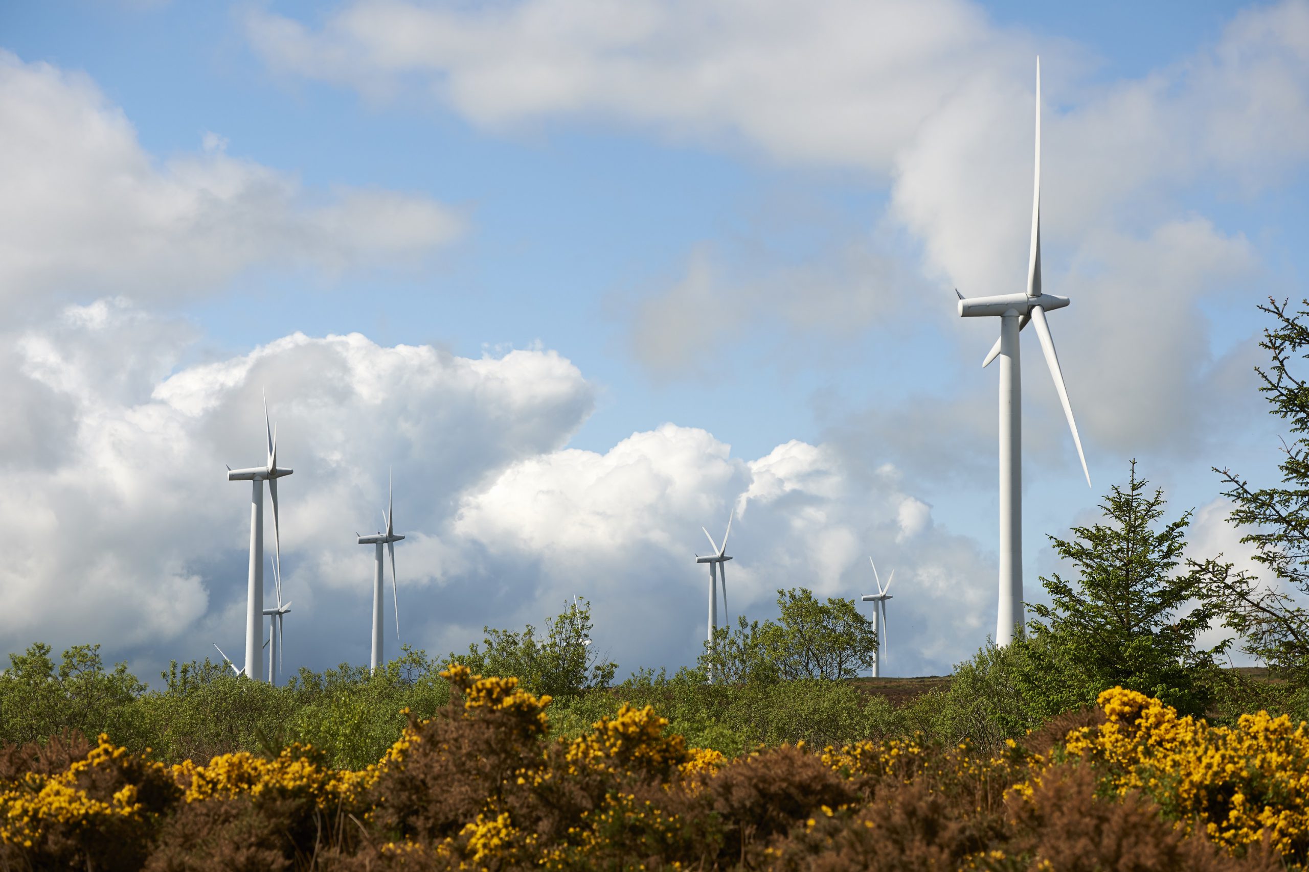 Northern Ireland energy sector to be fully decarbonised by 2050 ...