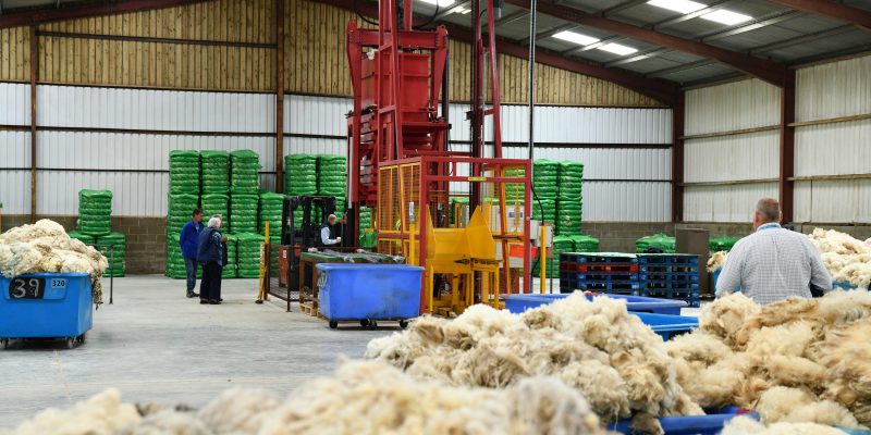 British Wool launches traceable wool scheme - Agriland.co.uk