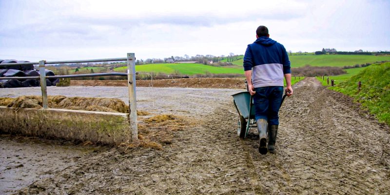 Nuffield Farming to host open night for potential applicants - Agriland ...
