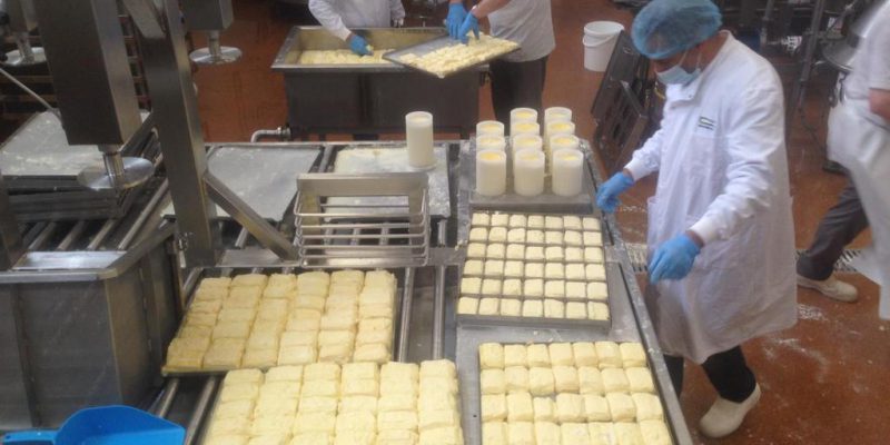 Daily Covid testing to replace isolation for UK food processing workers ...