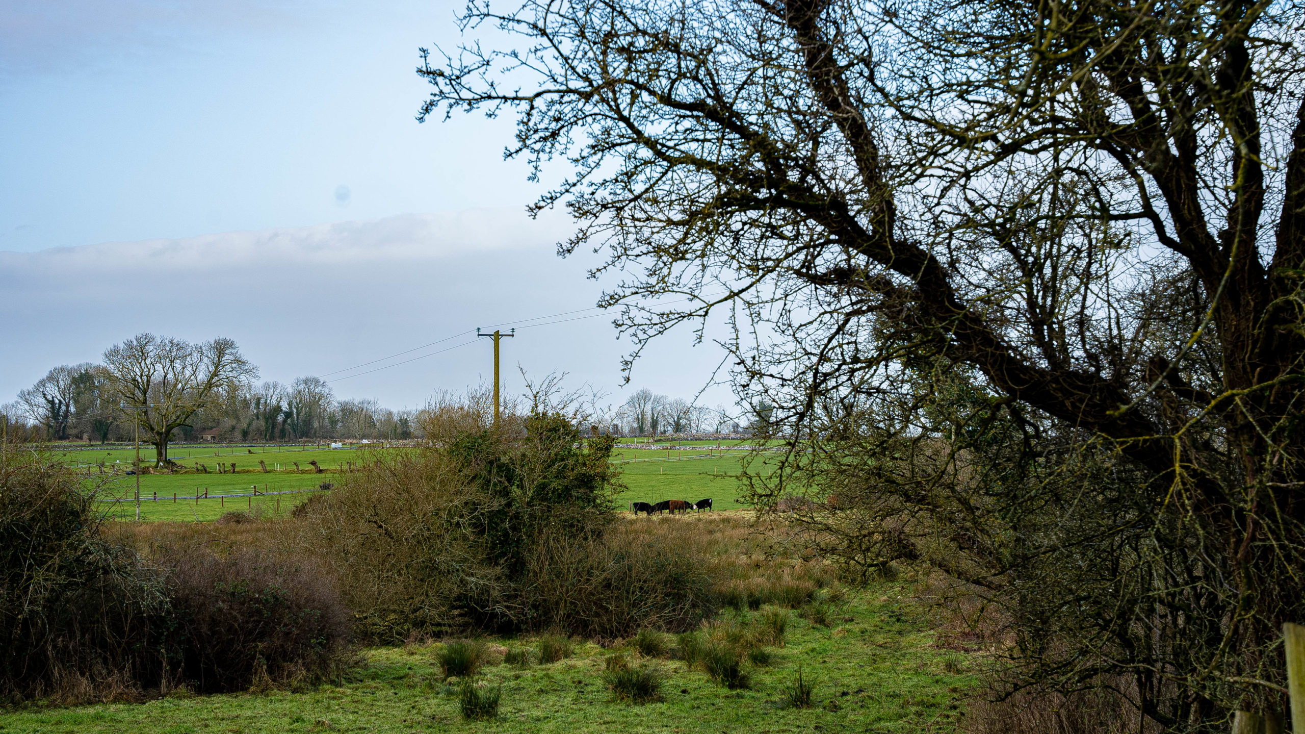 22 NI environmental projects to benefit from £2.9m in funding