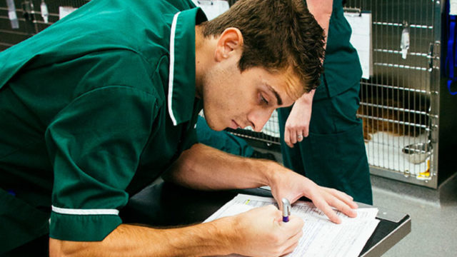 Vet Sustain launches first-ever carbon calculator for vet practices ...