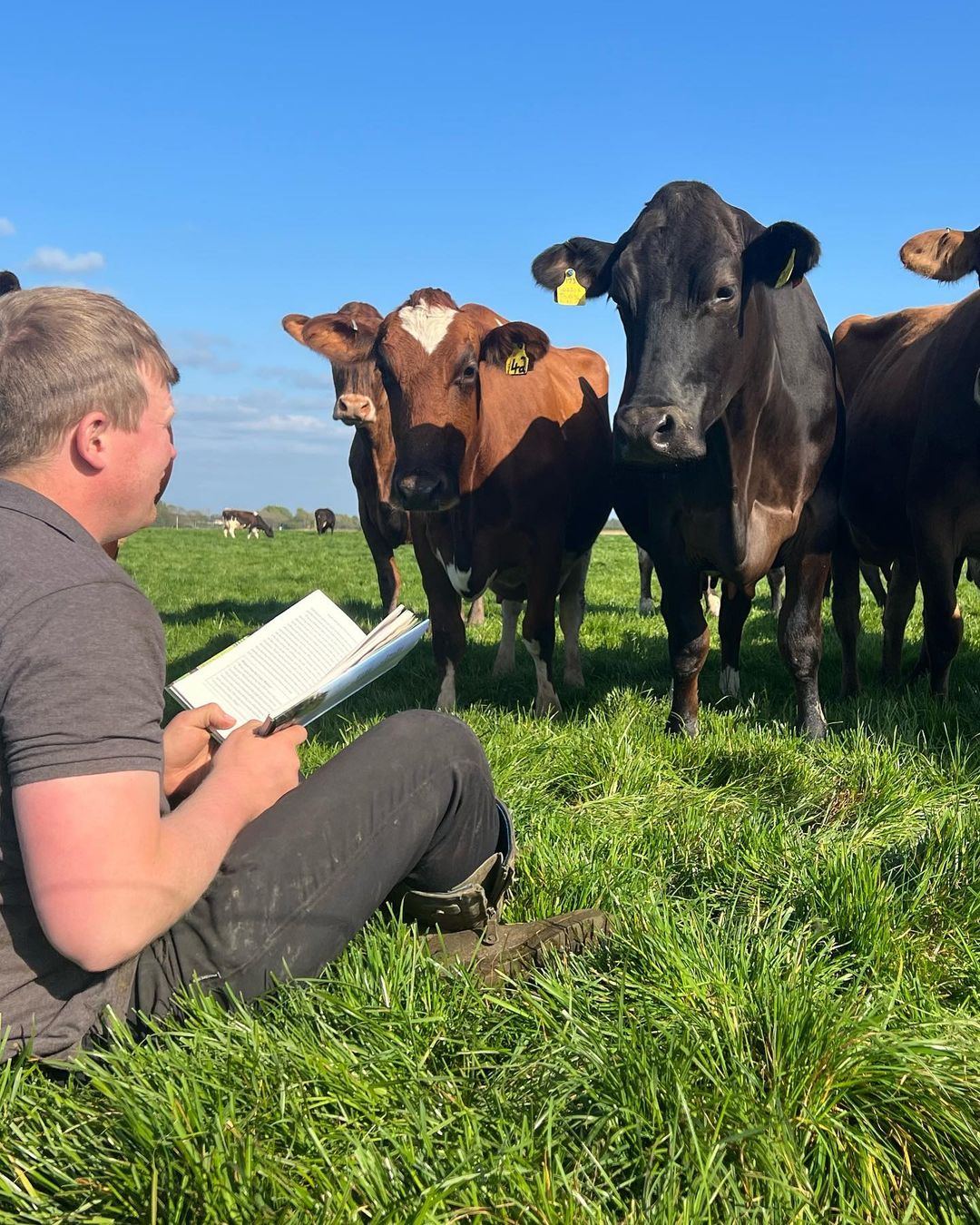 Stories from the farm of agri-influencer Tom Pemberton - Agriland.co.uk