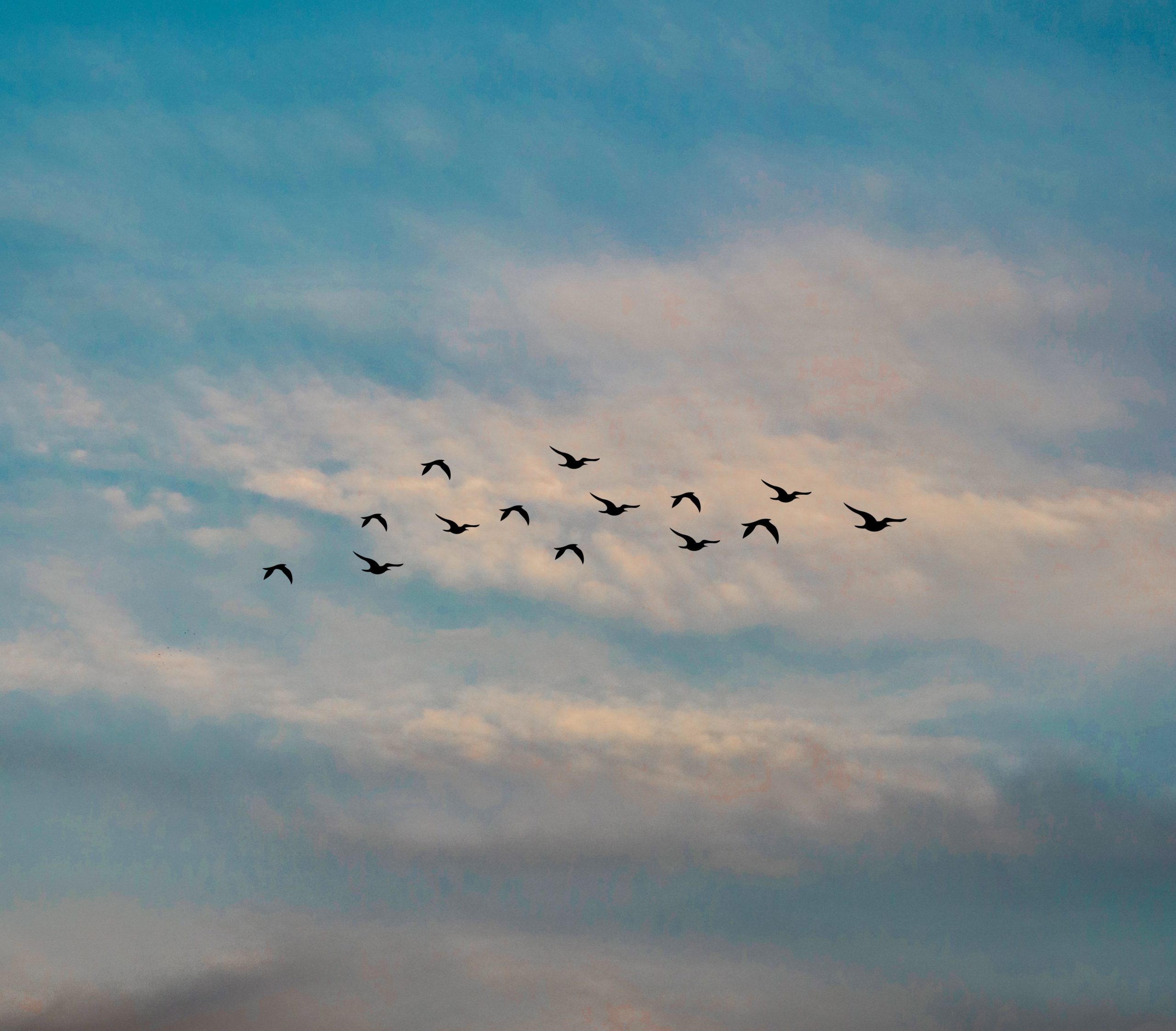 Over 1,900 UK farmers partook in the Big Farmland Bird Count