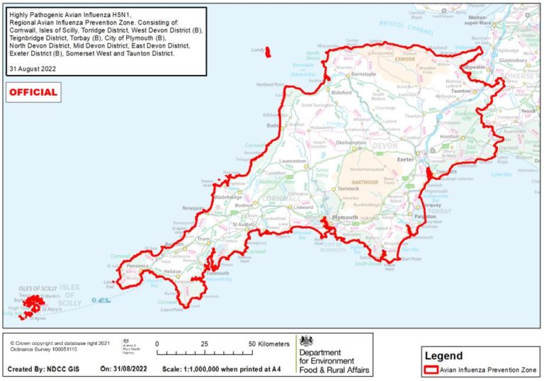 New case of bird flu confirmed in Cornwall - Agriland.co.uk