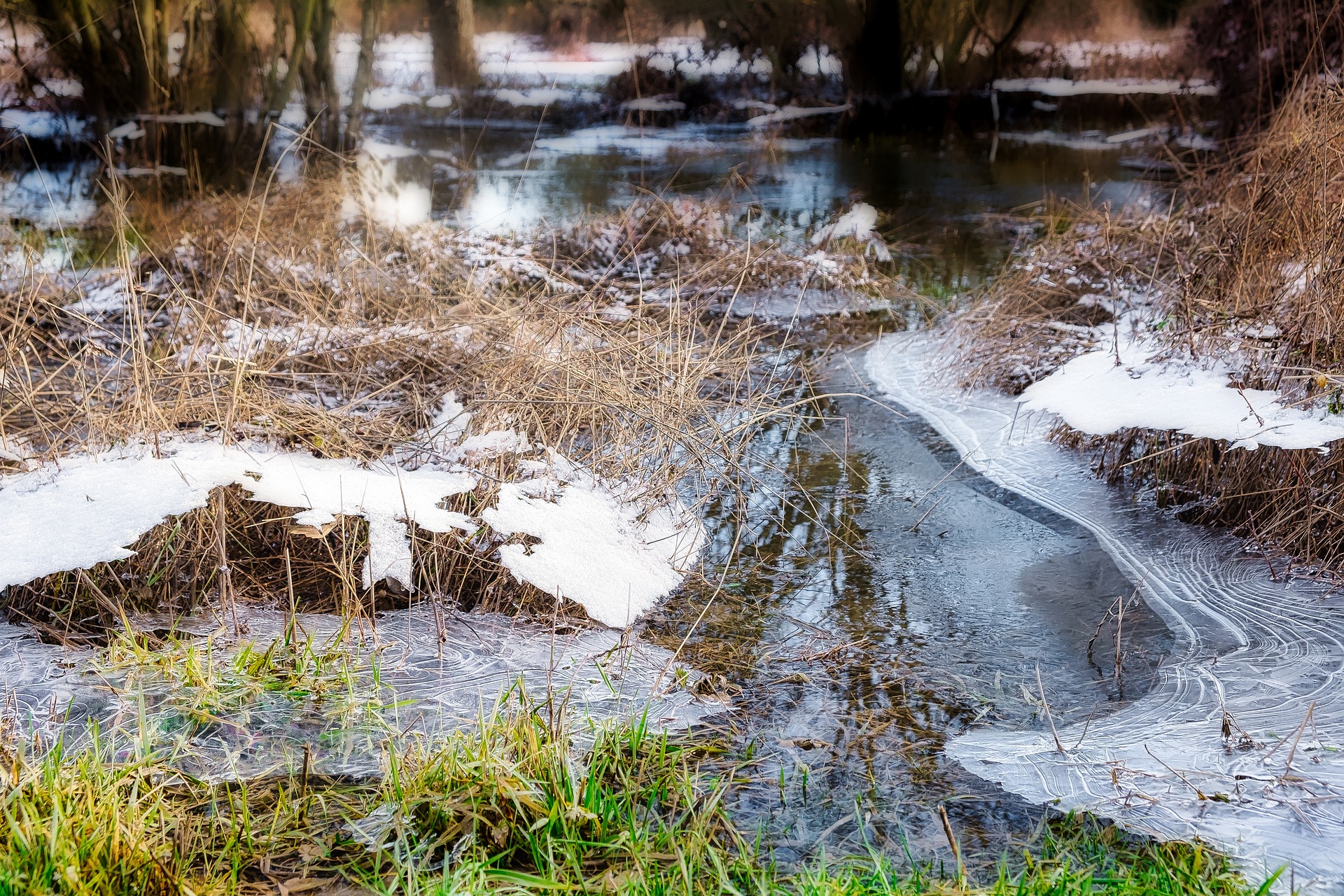 UKHSA issues cold weather alert following Status Yellow warnings