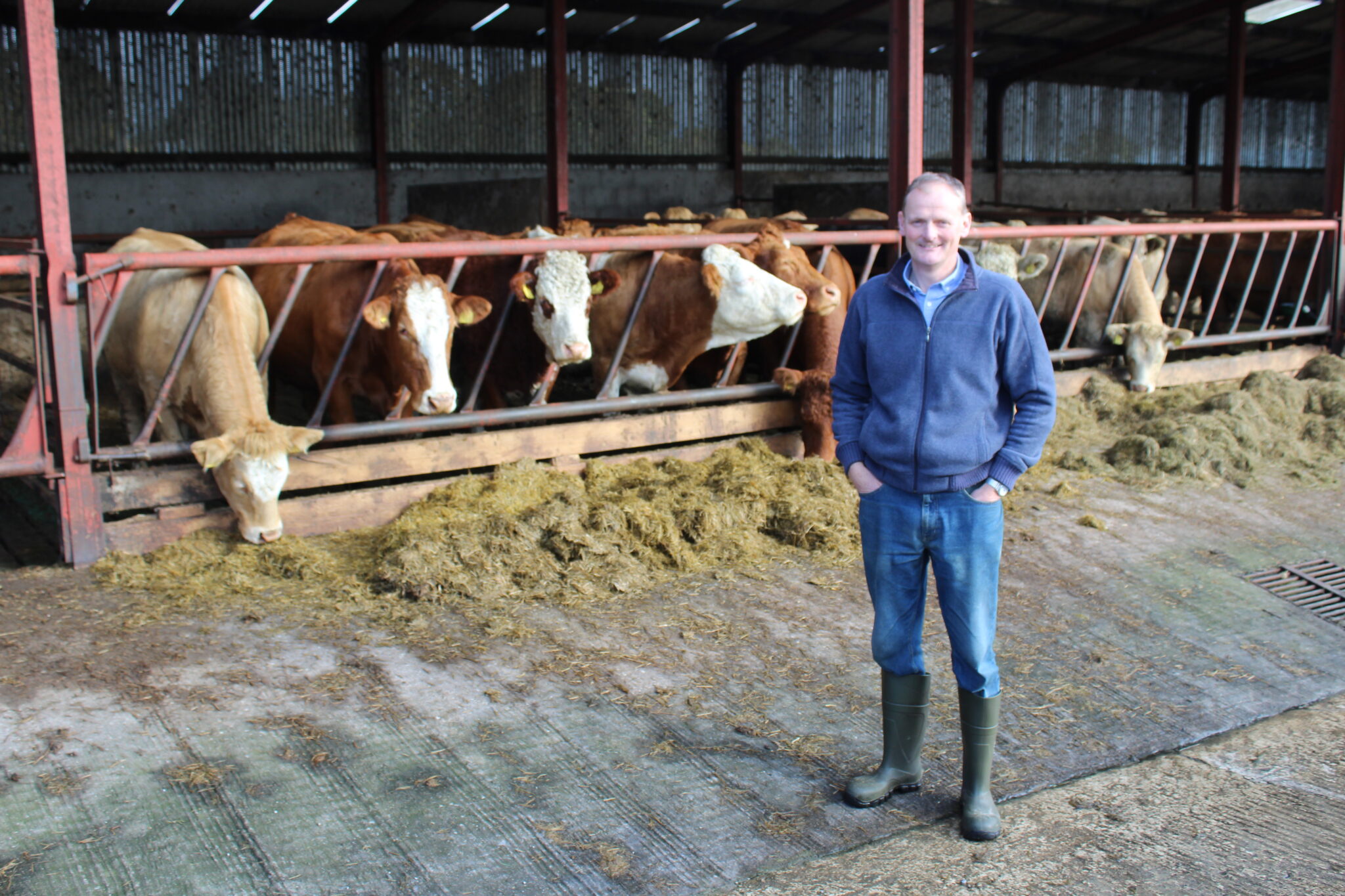 Poor weather taking its toll on farms across Northern Ireland ...