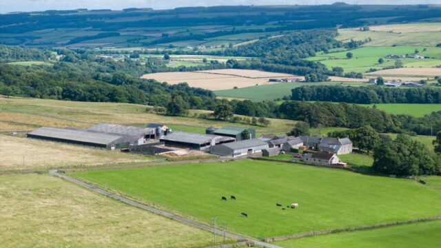 GSC Grays brings 1,800ac livestock farm to the market | The Farming Forum