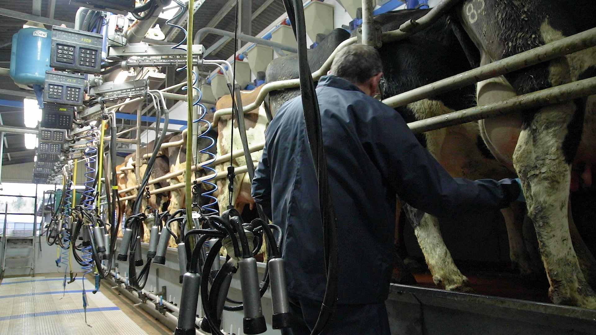 Dairy advice: Organising the final milk recording - Agriland.co.uk