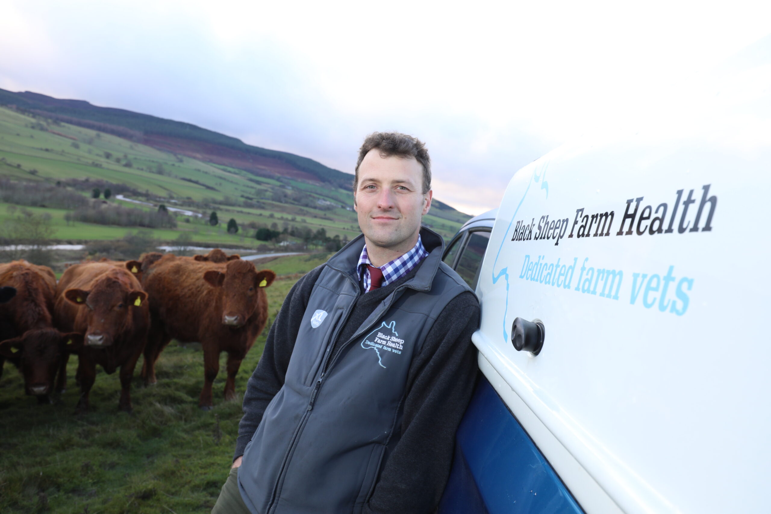 Bluetongue hotline launched for farmers and NFU - Agriland.co.uk