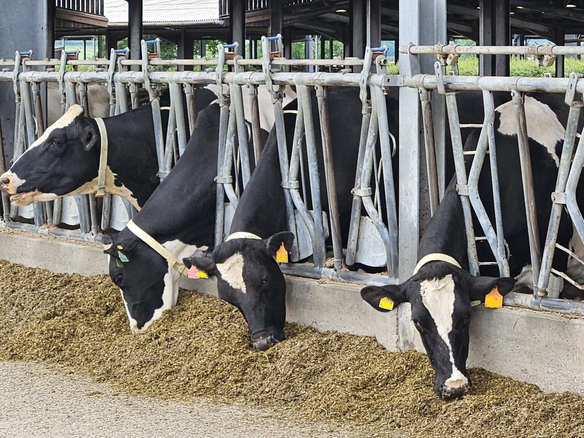 UFAC-UK launches new sustainable dairy feed alternatives - Agriland.co.uk
