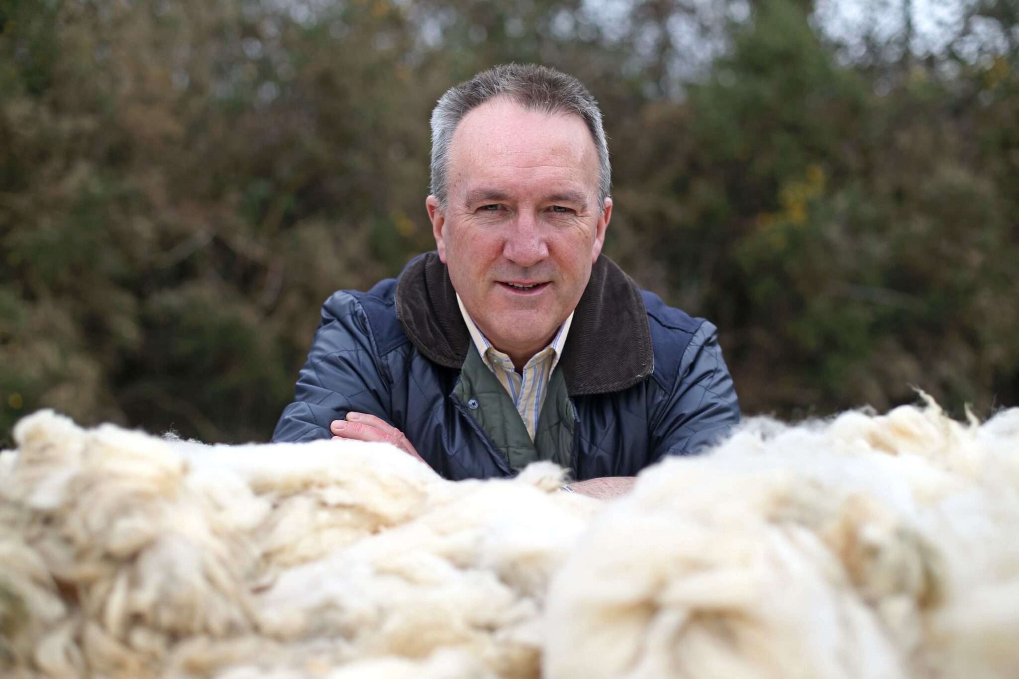 Kelly re-elected as NI British Wool representative - Agriland.co.uk
