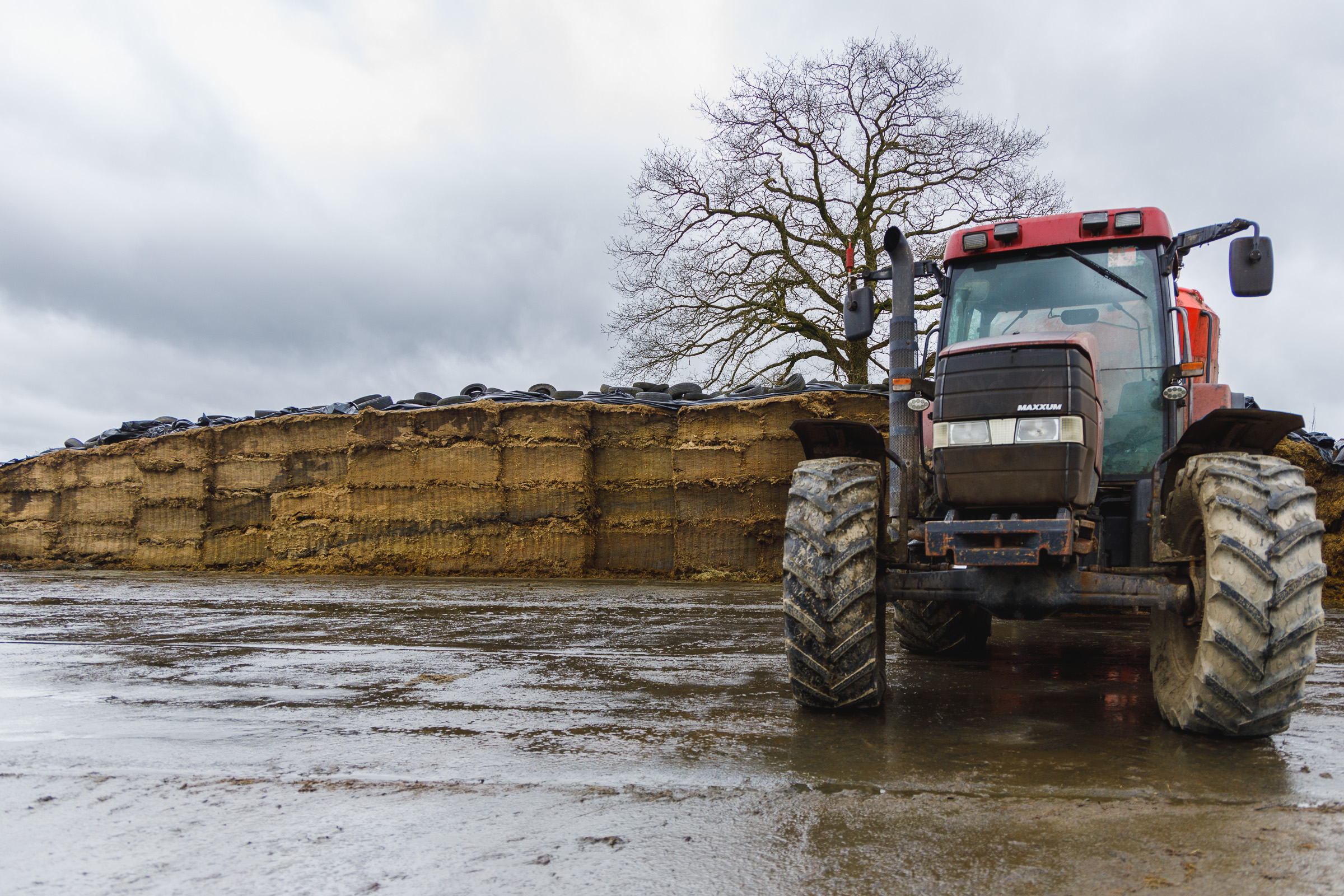 Silage samples from 2025 show 'mixed results' - ForFarmers - Agriland.co.uk