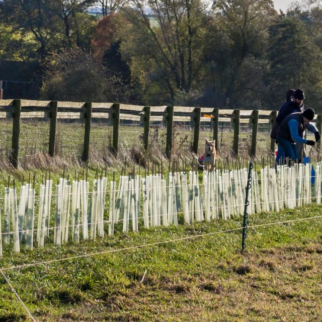 Forest for Peterborough - Projects - PECT