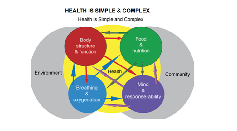 The fundamentals of a healthy life - Wellbeing Magazine