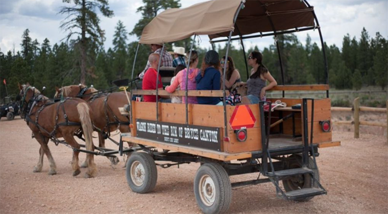 How to Keep Your Children Safe During a Wagon Ride at Bryce Canyon ...