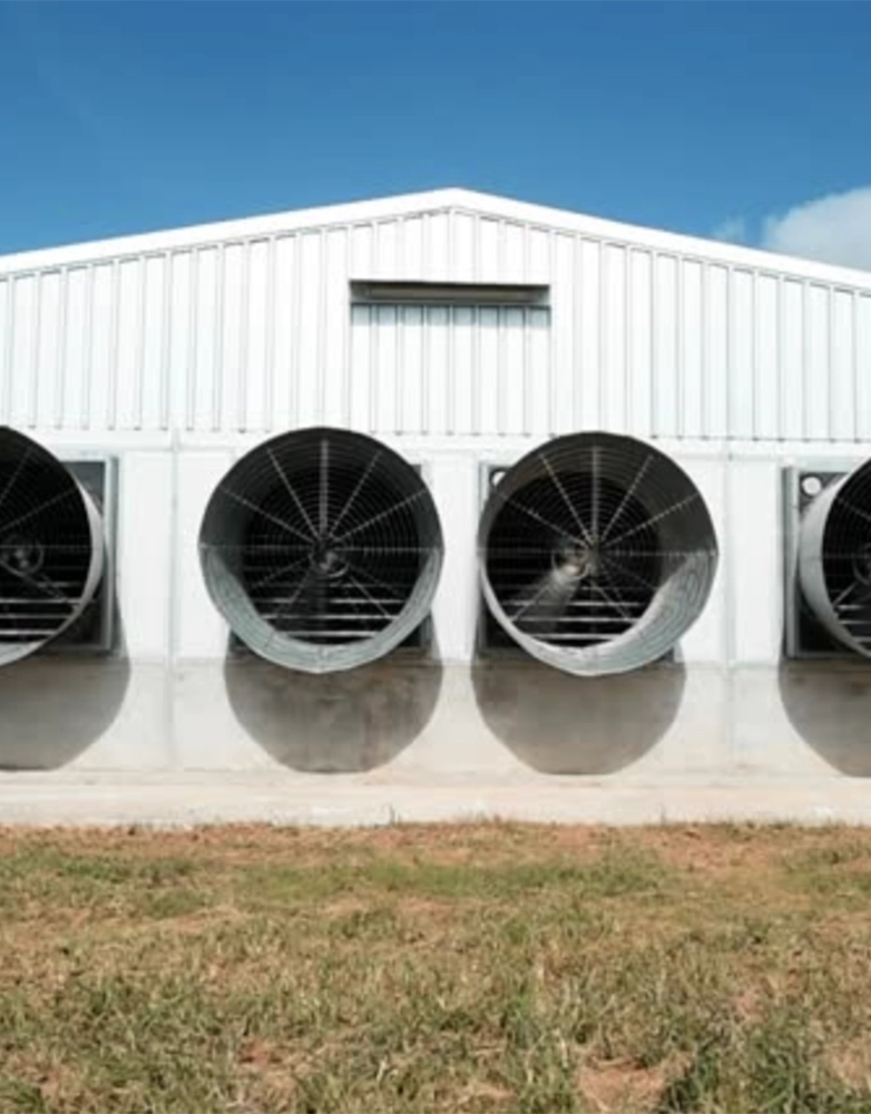 Barn Ventilation, Fans, and Curtains: Essential Tools for Animal and ...