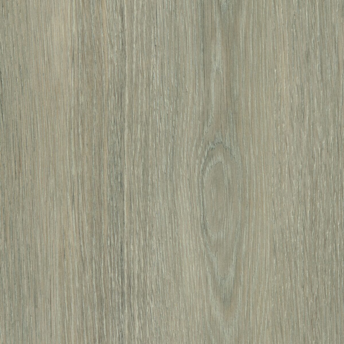 H3146 ST19 Beige Grey Lorenzo Oak Egger MFC | Cutsmart