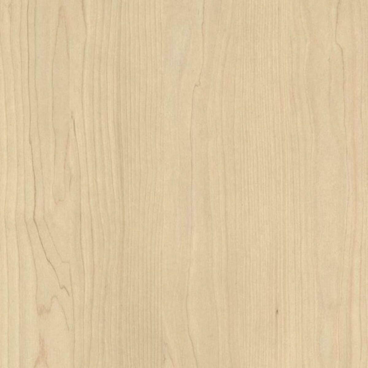 H1732 ST9 Sand Birch Egger MFC | Cutsmart