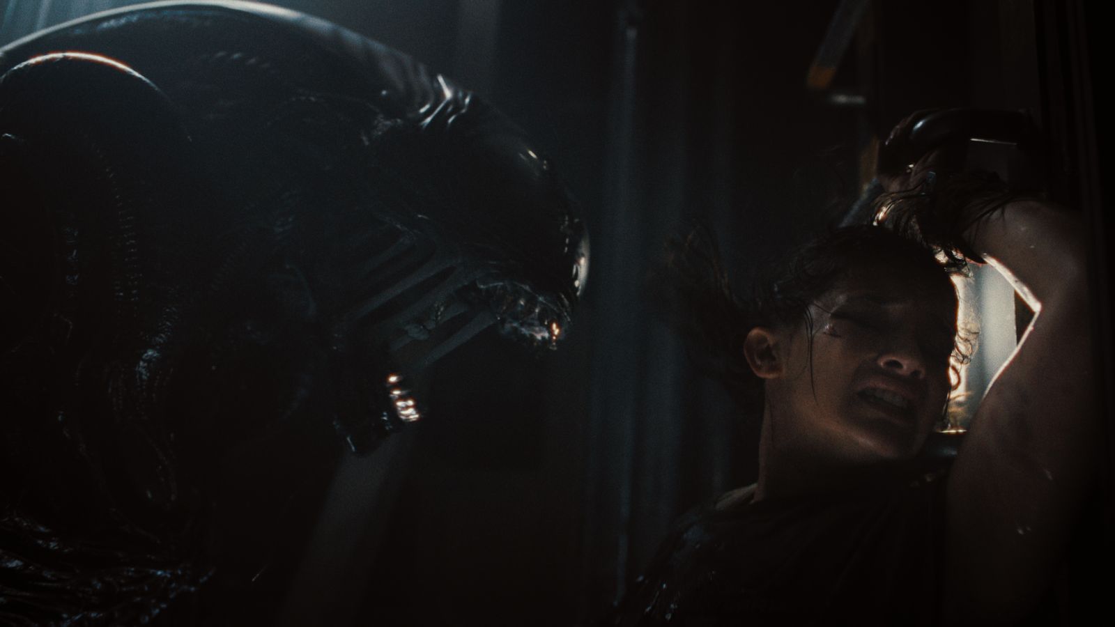 Alien: Romulus film review – A gruesome sci-fi interquel | The List