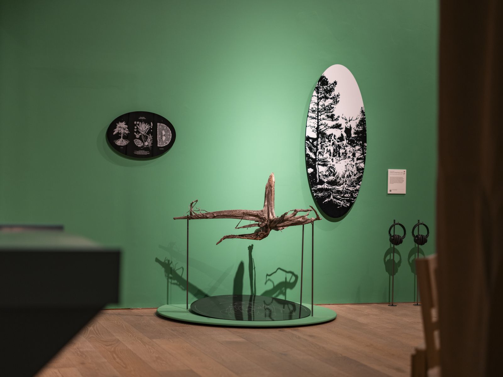 A Fragile Correspondence visual art review: An evolving examination of ...