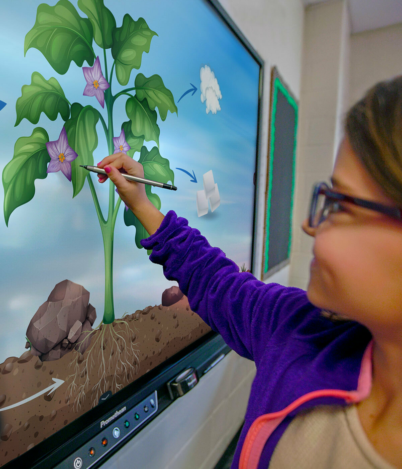 Interactive Touch Screen Displays for Schools & Business - DMS Group