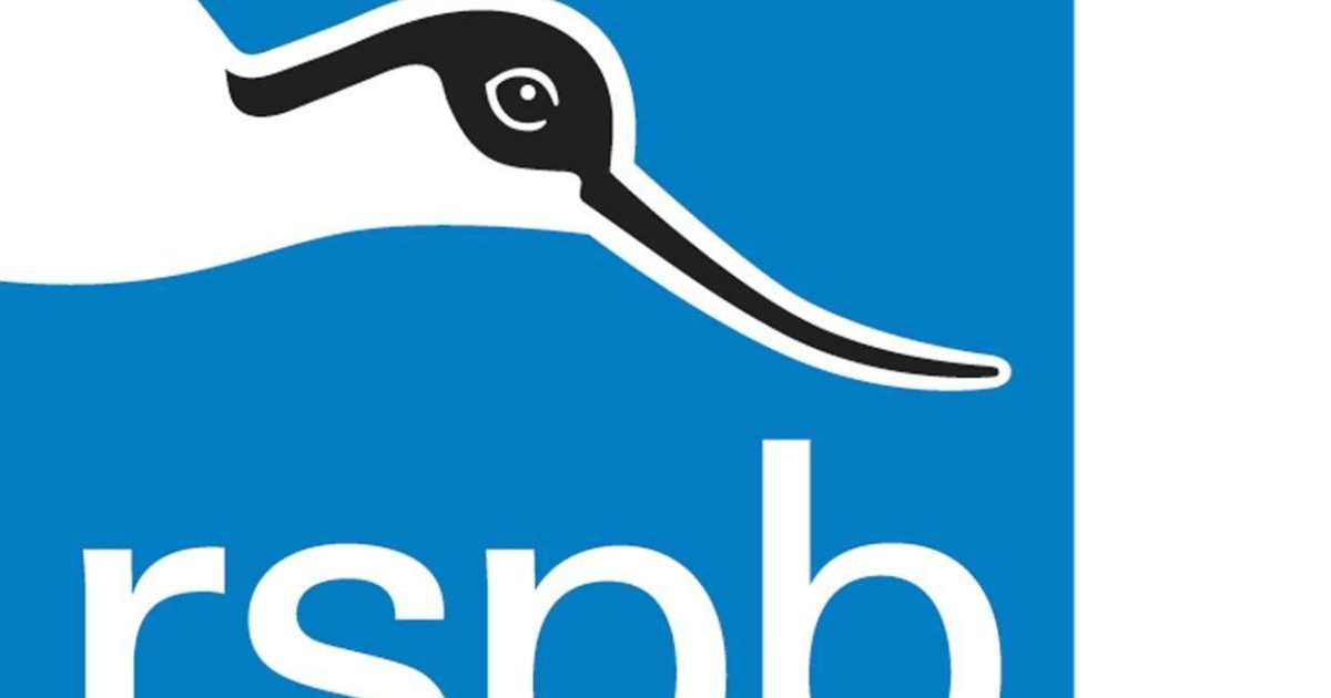 How RSPB use BrandStencil to manage all artwork… | BrandStencil