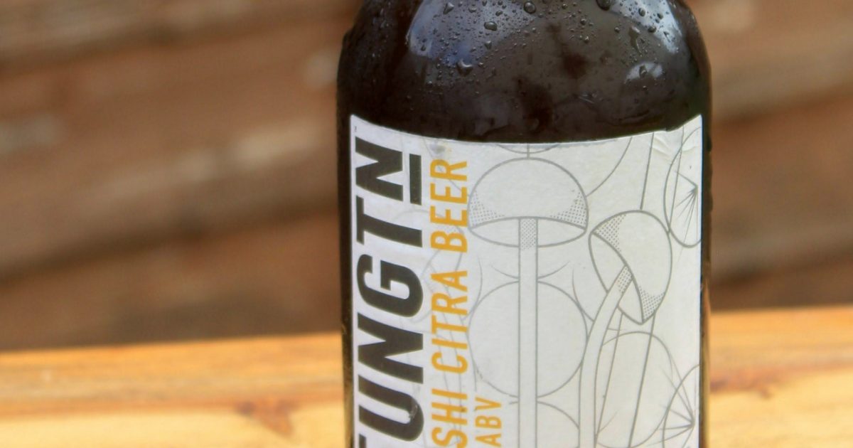 Alcohol Change UK | Fungtn Reishi Citra| Alcohol-free beer| Alcohol ...