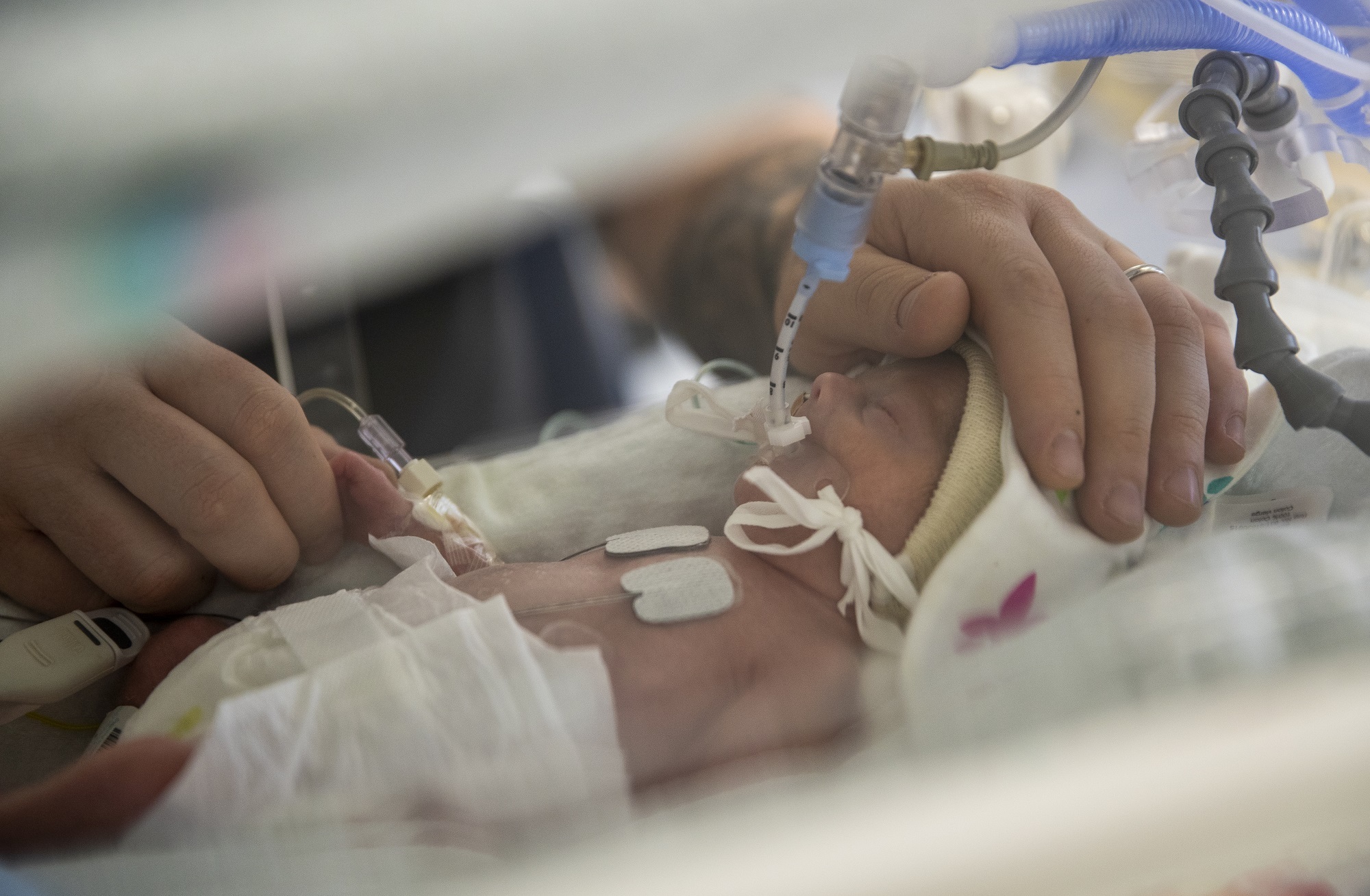 Why you are important to your baby's care | Bliss