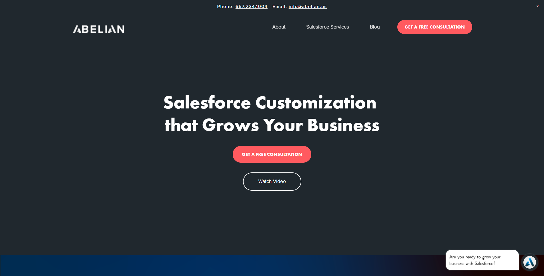 Abelian Spotlight and Review - Focos