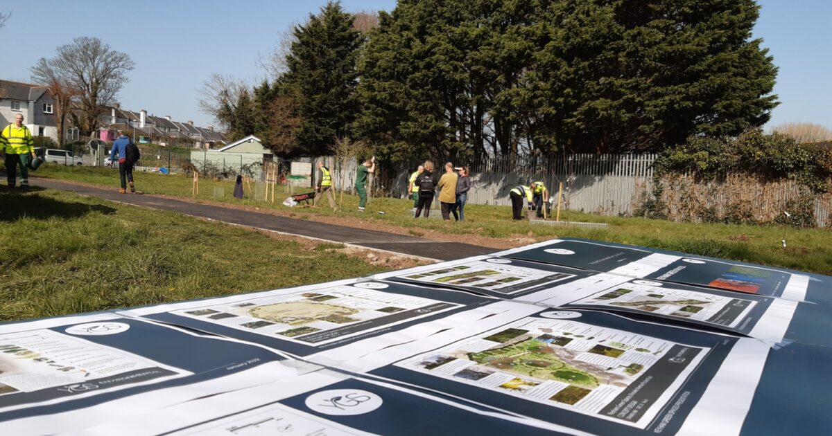 Greenminds | Rewilding People & Places