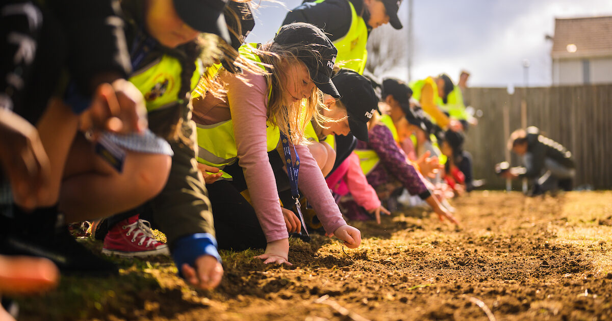 Greenminds | Rewilding People & Places