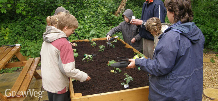 Help Kids Grow - Plant a School Garden!