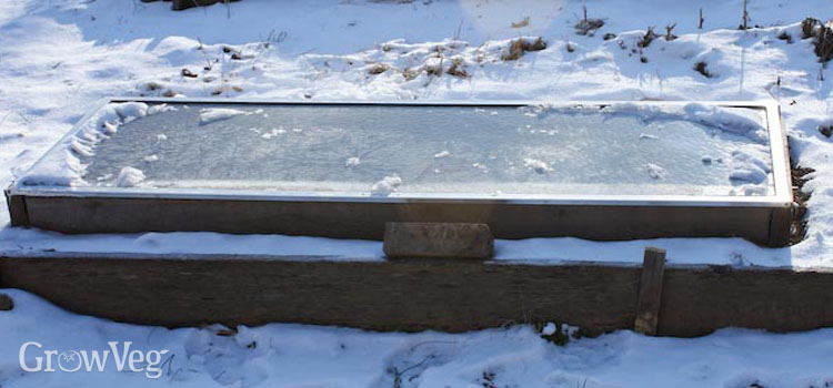 How to Use a Cold Frame