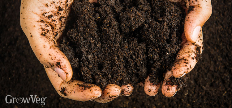 Supercharge Your Soil This Spring!
