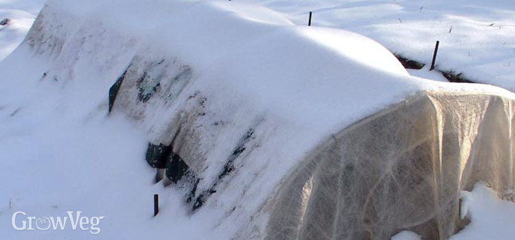 Making Low Tunnels Winter-proof