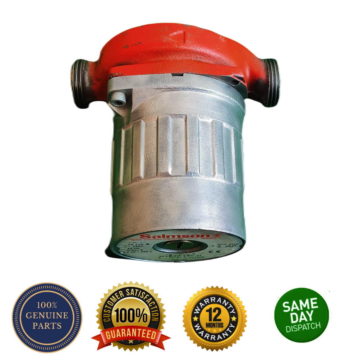 Salmson Circulating Pump 4000981