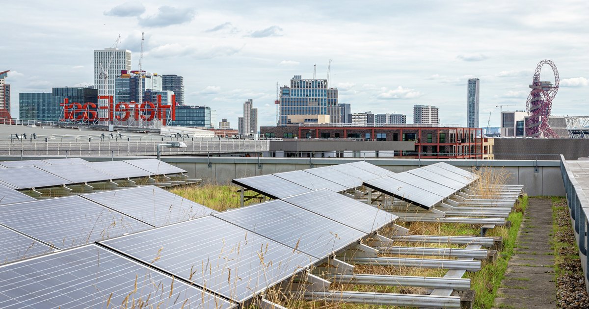 Here East - Here East Bio-solar roof: A young person's perspective