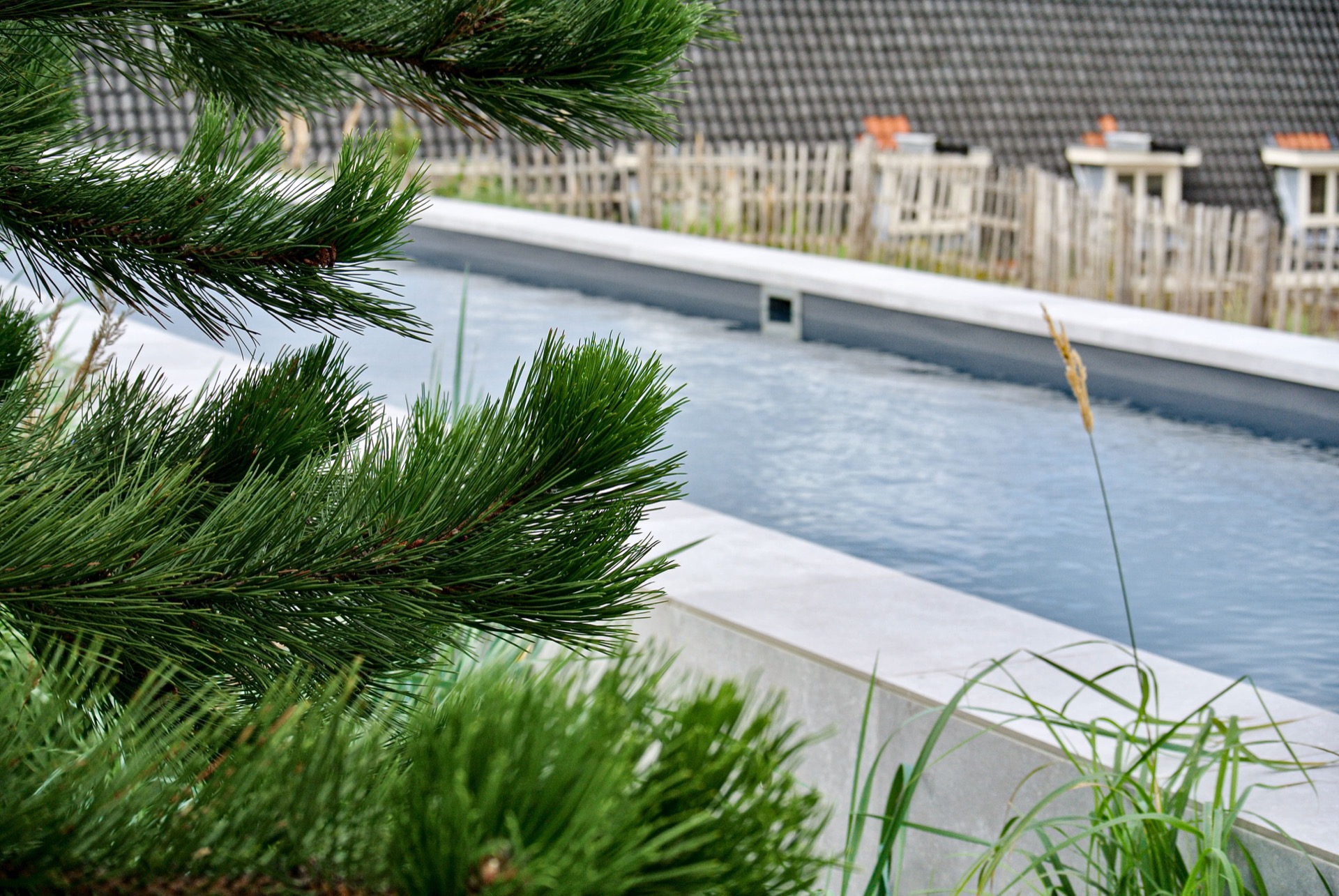 Rooftop pool in Amsterdam's Jordaan neighborhood - HOOG.design ...