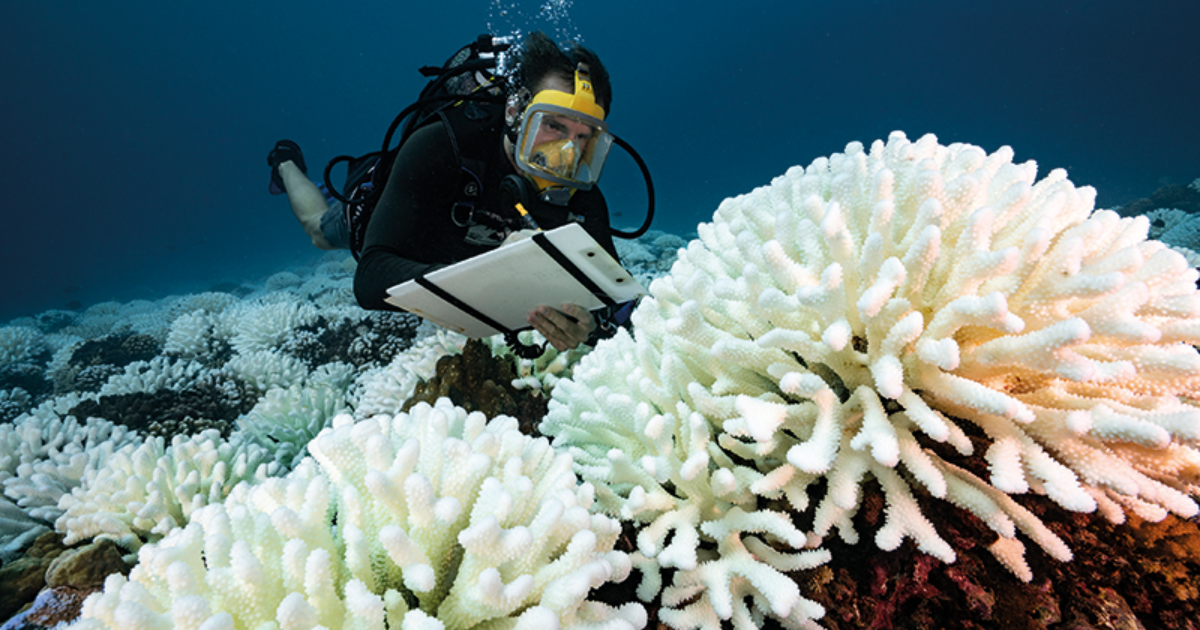 IPCC report warns of damage to ecosystems - IEMA