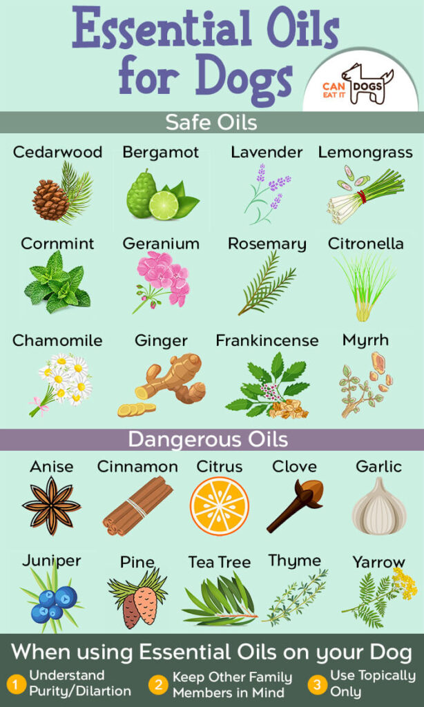 What Essential Oils Are Bad for Dogs to Inhale?