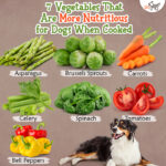 7 Vegetables That Are More Nutritious for Dogs When Cooked