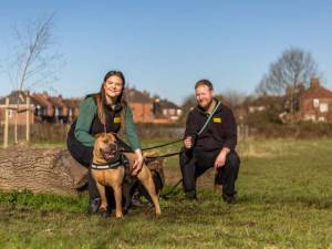 Rescue Dogs in Wigan | Petlist