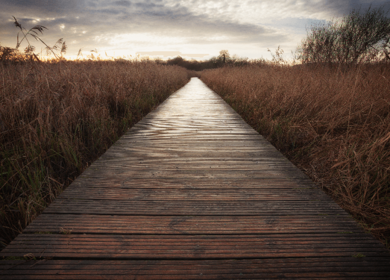 Penarth | Watts & Morgan