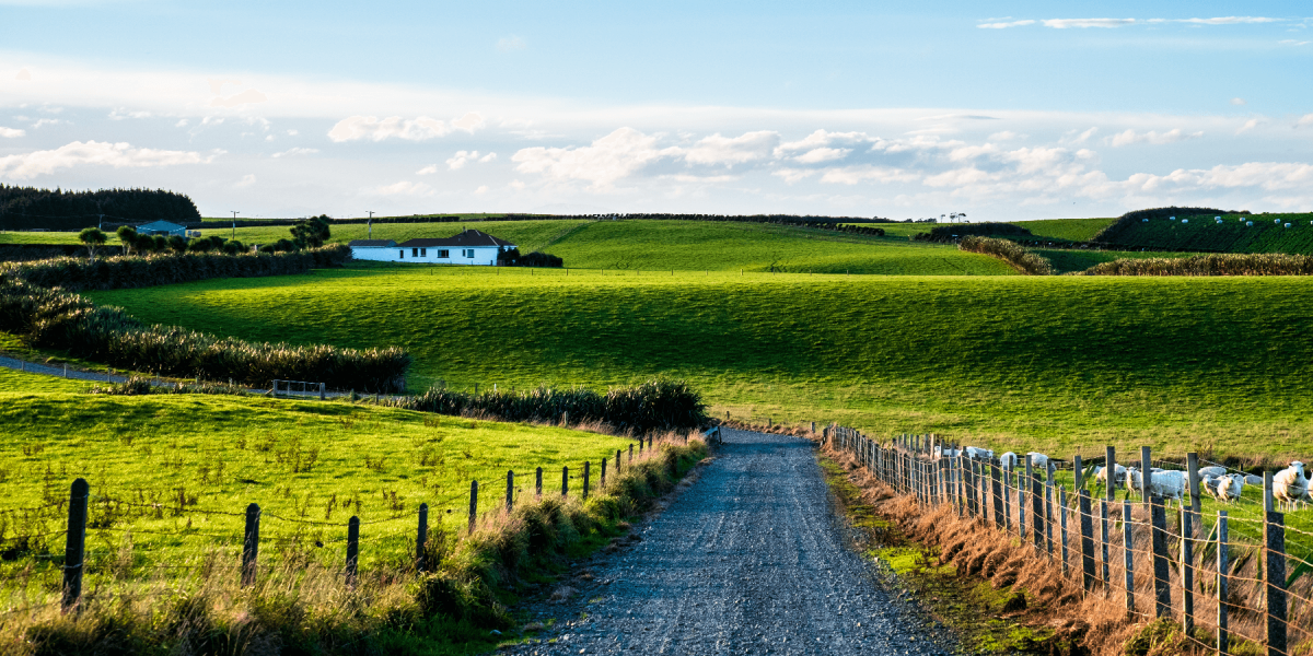Rural property sales, land management, valuations and livestock | Watts ...