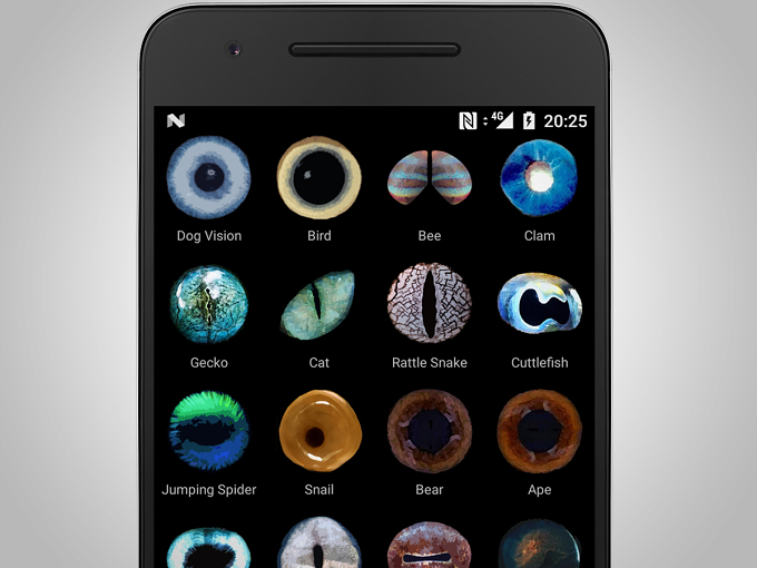 Animal Vision Simulator by Michal Miszczyk