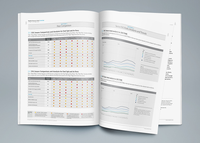 RepRisk Brand Identity by Panorama Lisbon Design Studio for RepRisk AG